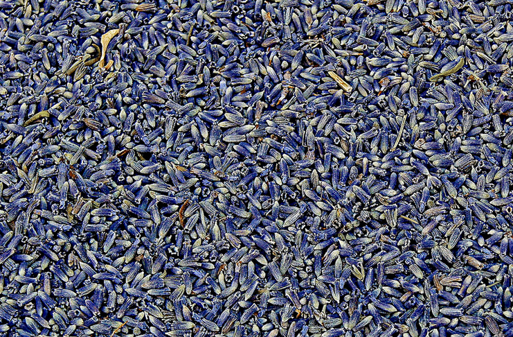 Uses for lavender - Appropedia, the sustainability wiki