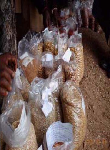 Practical Action/Seed fairs