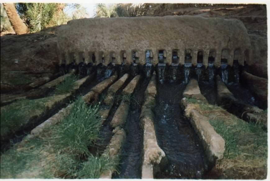 GEN Solution Library/Wise irrigation system (foungara)