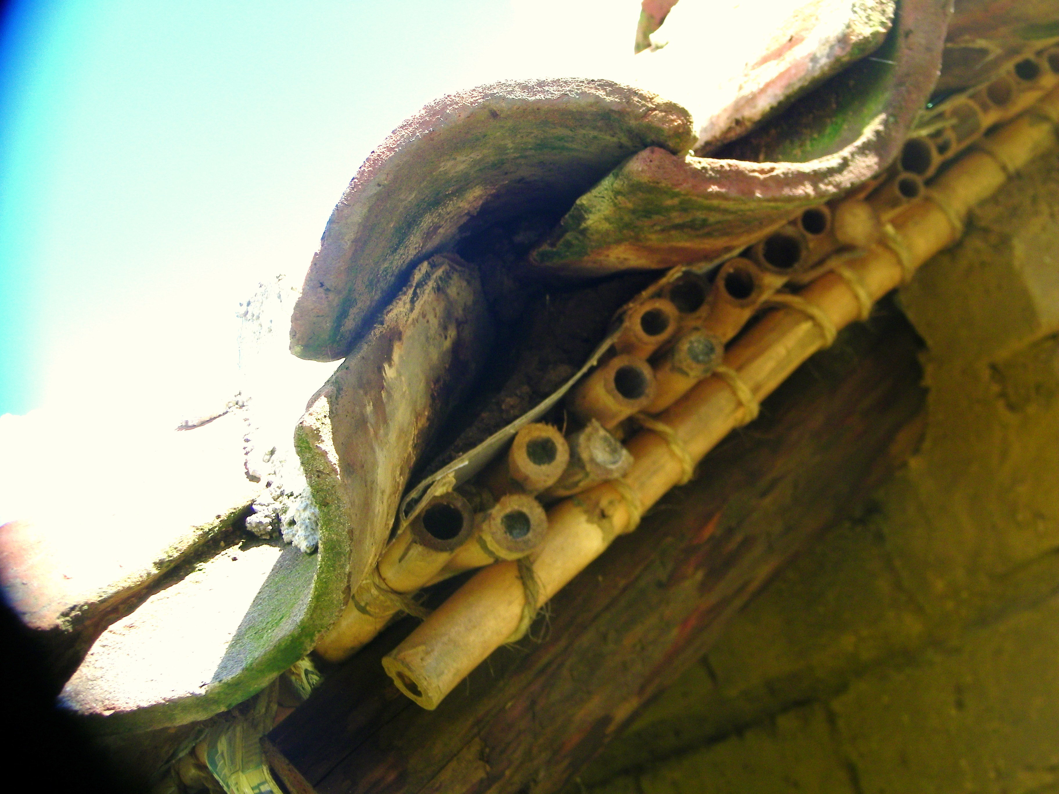 Index of /w/images/3/3a