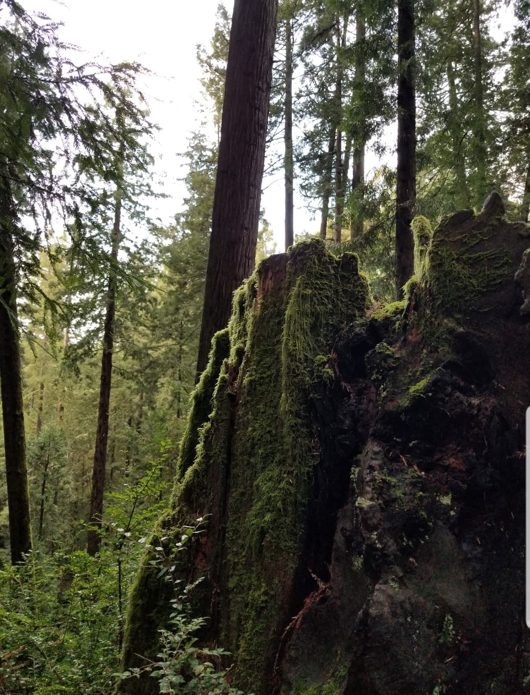 User:Hydrogenius - Appropedia, the sustainability wiki