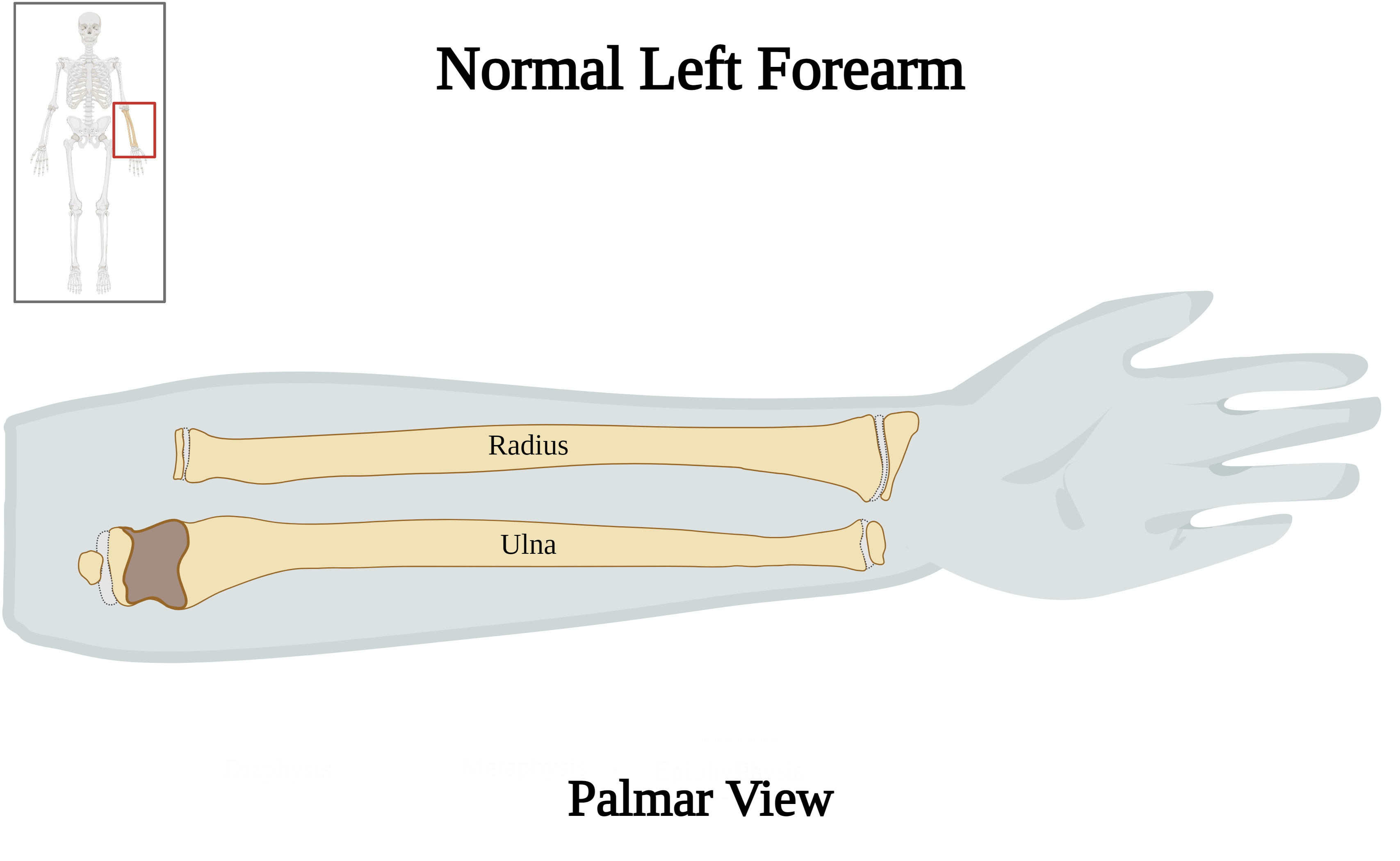 Index of /w/images/4/41