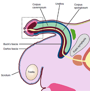 Module 1: Knowledge overview