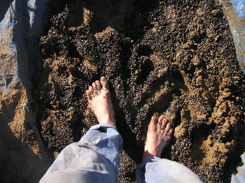 Index of /w/images/7/78