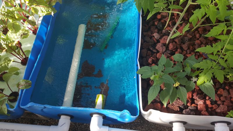 Index of /w/images/7/7c