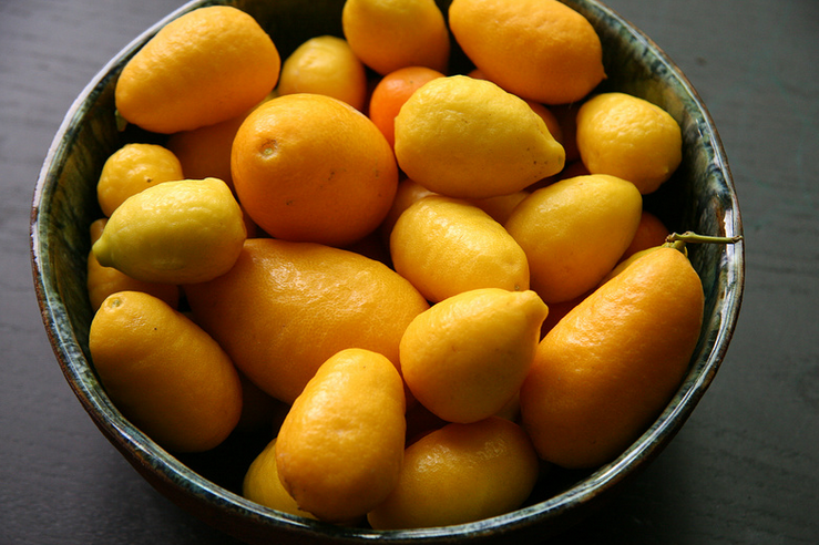 Citrus - Appropedia, the sustainability wiki