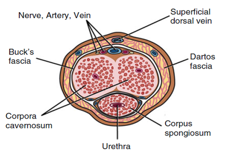 Module:Module 1: Knowledge overview