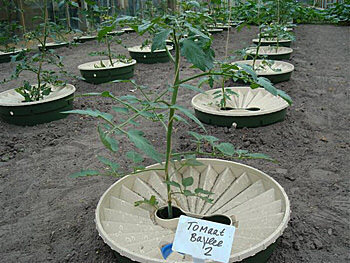 GEN Solution Library/Waterboxx helps green the deserts