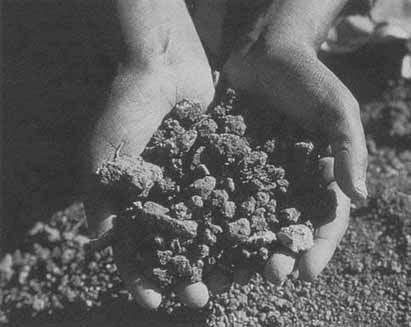 Living with the Soil/The Ground is Disappearing Beneath our Feet