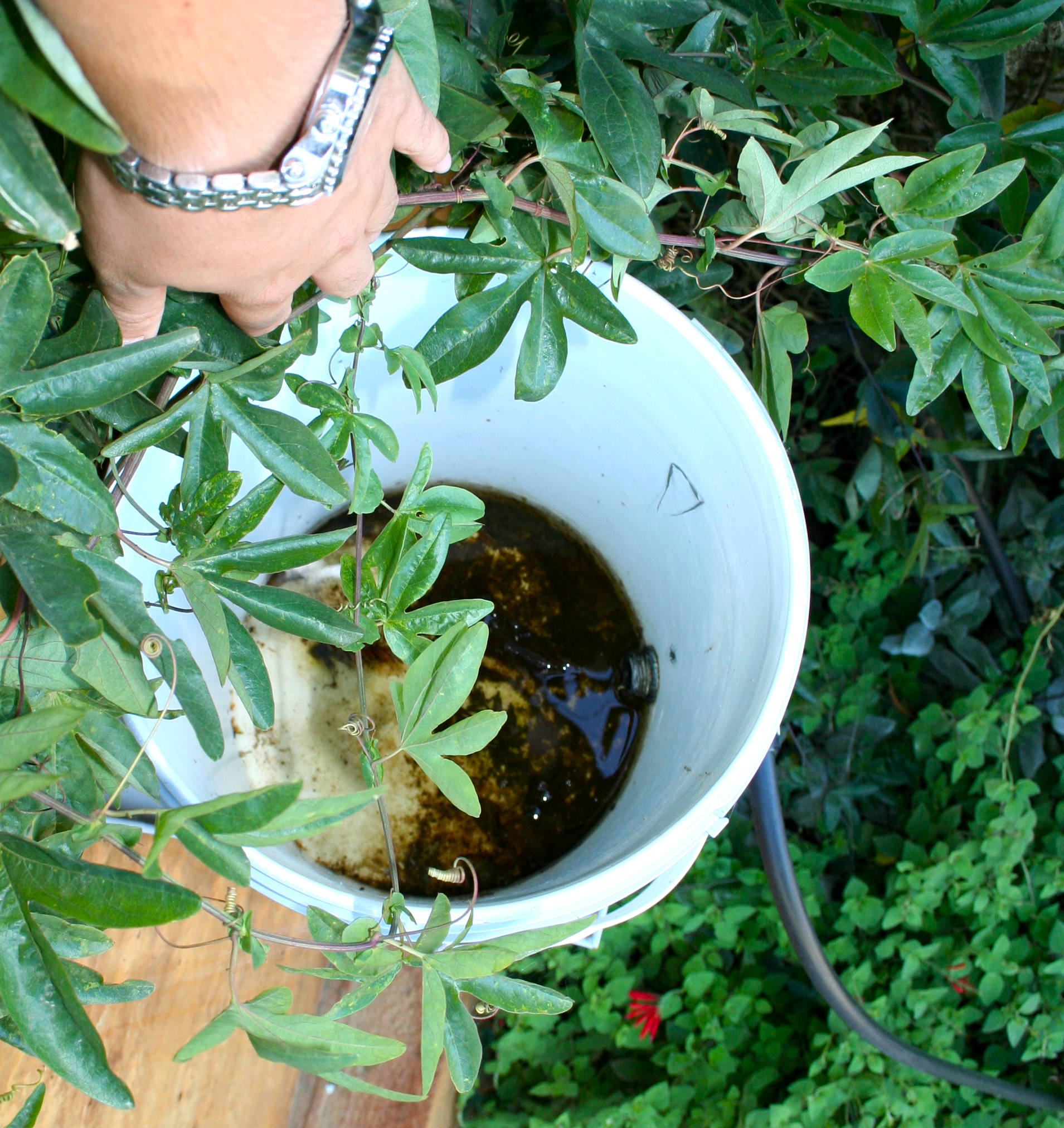 Index of /w/images/8/8b