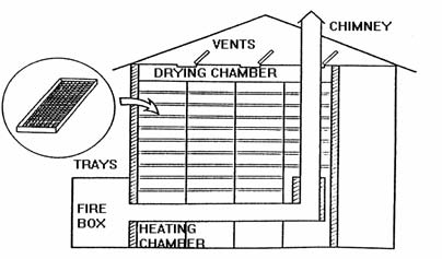 Turmeric - Appropedia, the sustainability wiki