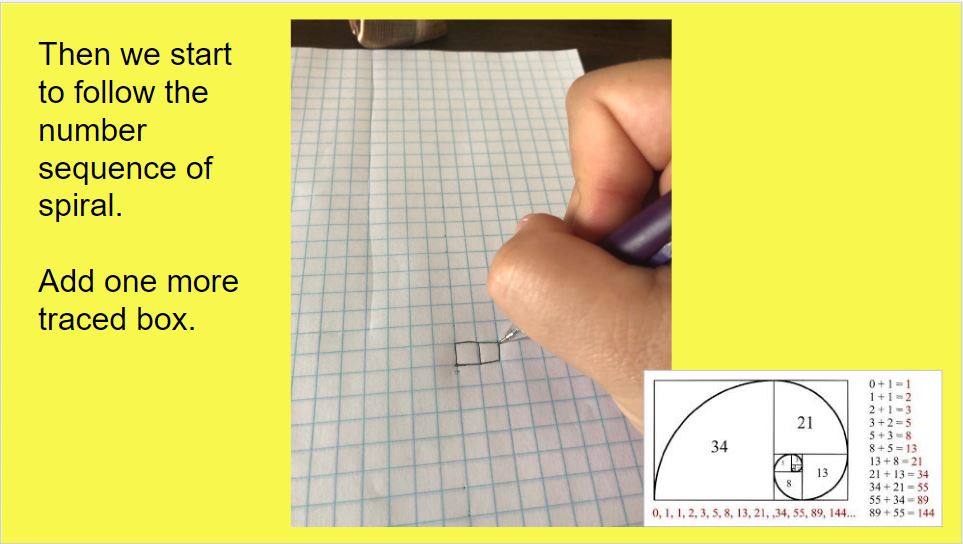 Fibonacci Activity - Appropedia, the sustainability wiki
