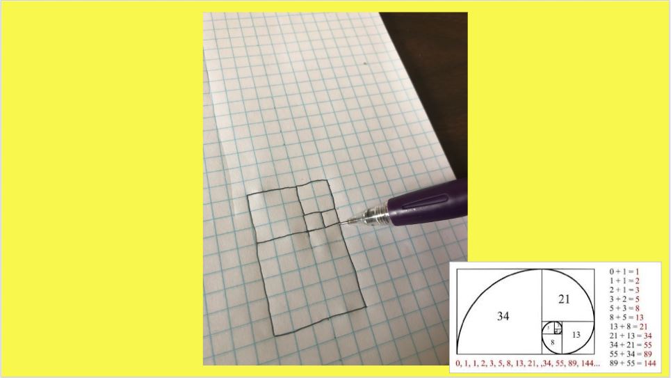 Fibonacci Activity - Appropedia, the sustainability wiki