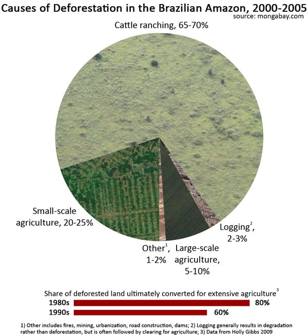 Amazon deforestation, climate change, and possible mitigation