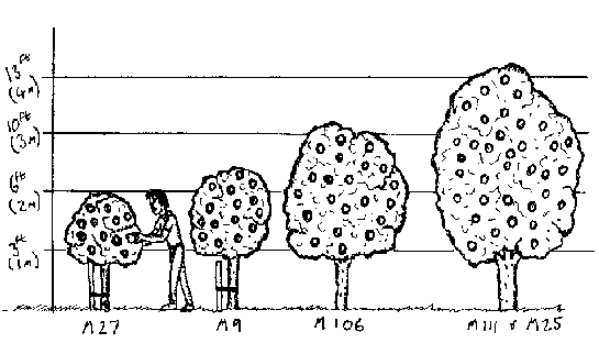 Fruit tree propagation - Appropedia, the sustainability wiki
