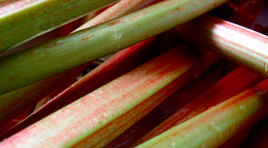Rhubarb - Appropedia, the sustainability wiki