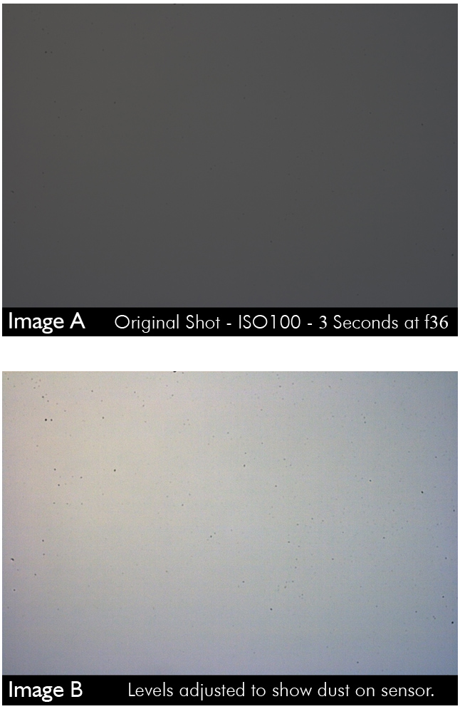 Viability of recycling semiconductors in imaging devices