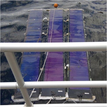 After Market Flexible Floating Photovoltaic Modules