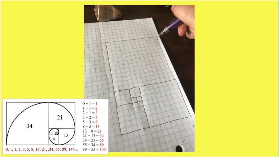 Fibonacci Activity - Appropedia, the sustainability wiki