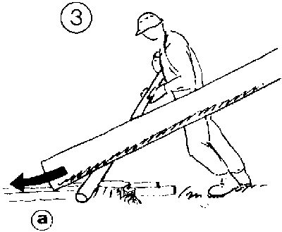 Wood Harvesting with Hand Tools/Releasing Lodged Trees