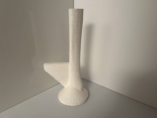 3D Printed Adult Male Tibial Bone Models/3D Print Sample Model