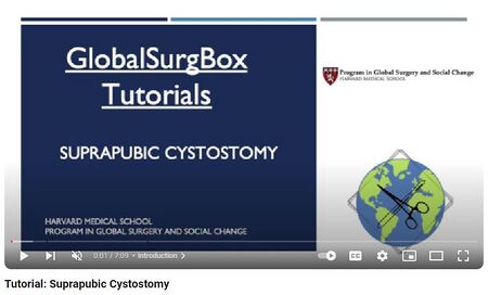 subcutaneous tissue (f07da7) - Appropedia, the sustainability wiki
