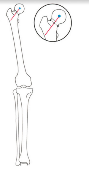 Joint Orientation Lines - Appropedia, the sustainability wiki