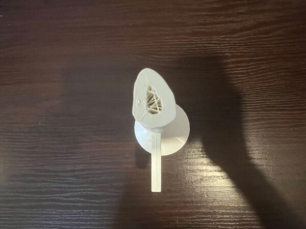 Uniplanar External Fixation/3D Printed Adult Male Tibial Bone Models ...