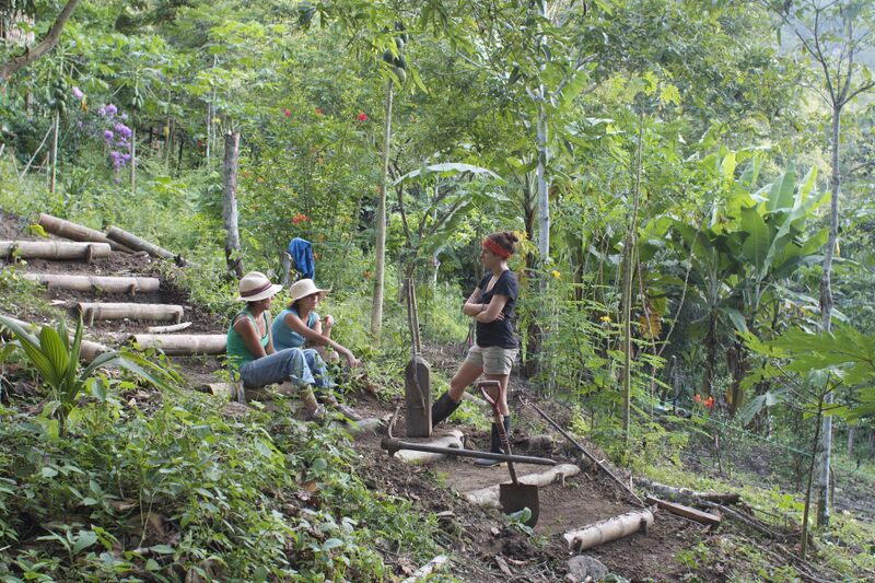 Ecological restoration Ecuador