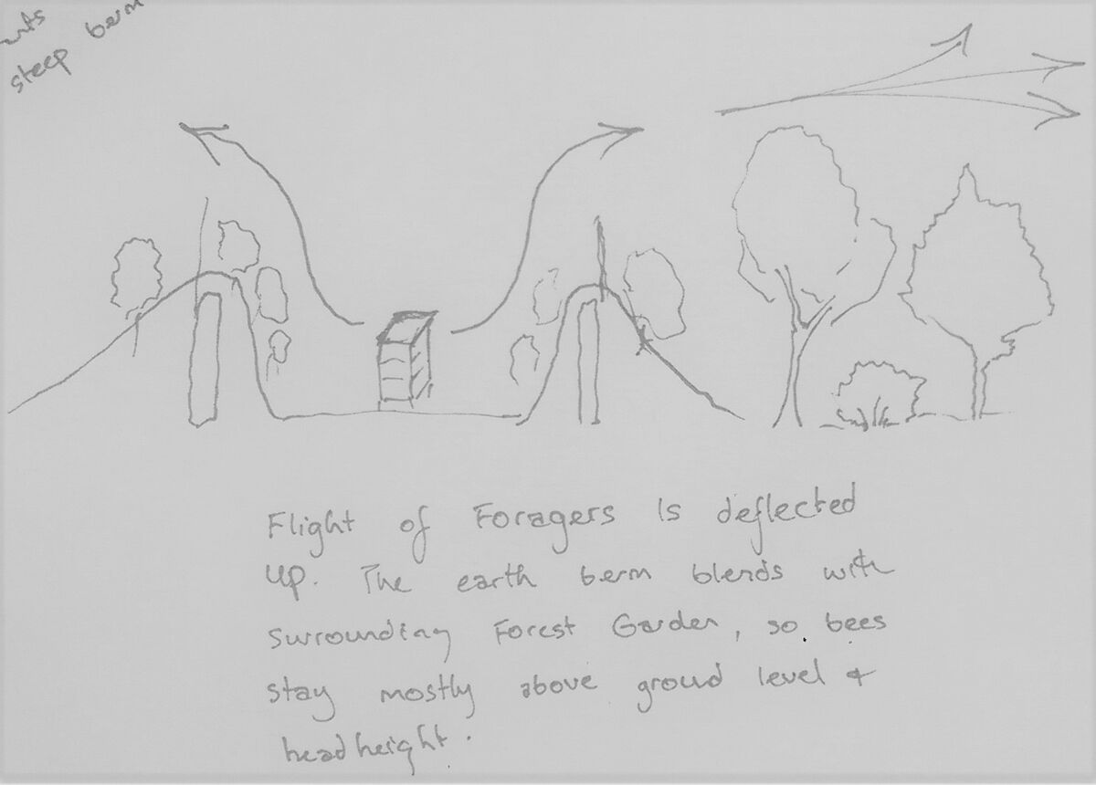 Apiary design for a forest garden