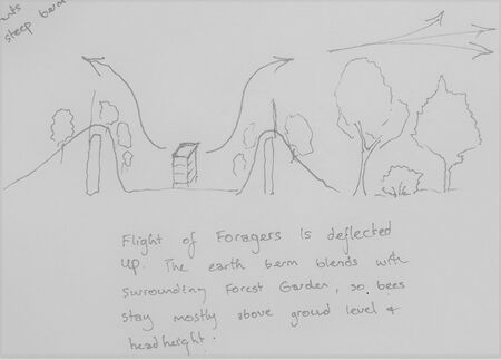 Apiary design for a forest garden
