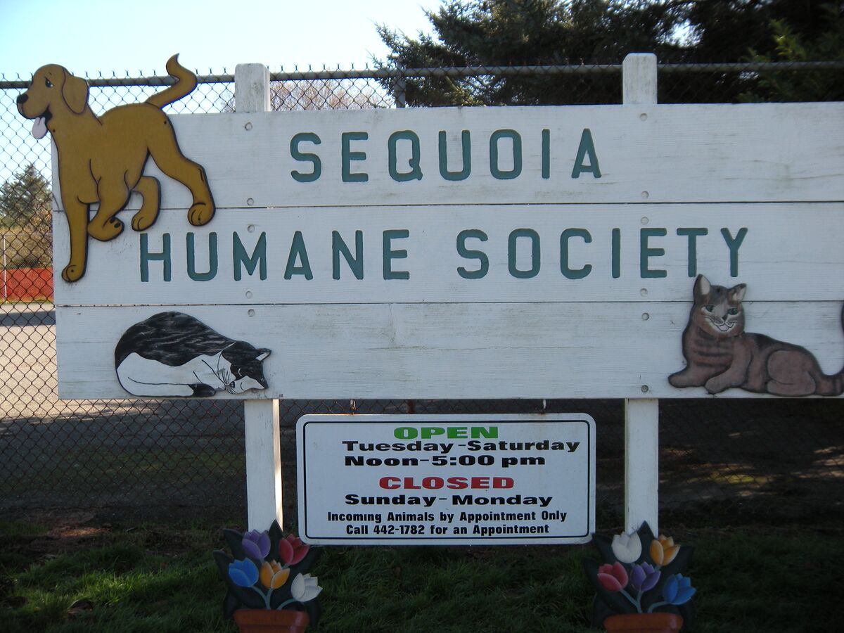 RCEA energy audit reviews/Sequoia Humane Society