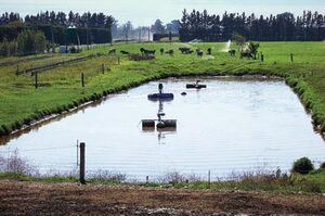 Dairy Industry - Appropedia: The sustainability wiki