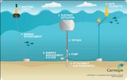 Carnegie Wave Energy - Appropedia, the sustainability wiki