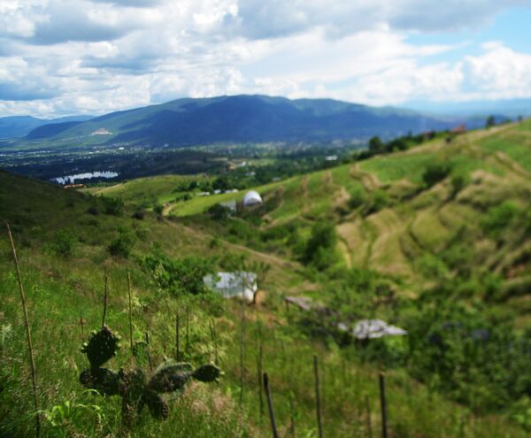 Ecosystem restoration - Appropedia, the sustainability wiki