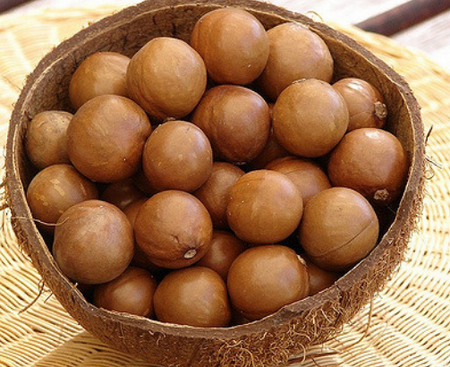 Uses for coconut shells - Appropedia, the sustainability wiki