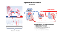 Cardiac Surgical Skills Training Module/Phase 1: Theoretical Knowledge ...