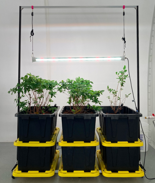 Open-Source Indoor Horizontal Grow Structure Designs - Appropedia, the ...