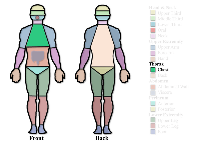 Thoracic Flaps: Chest - Appropedia, the sustainability wiki