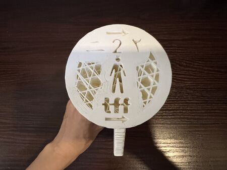 3D Printed Adult Male Humeral Bone Models/Inspect Models Delivery