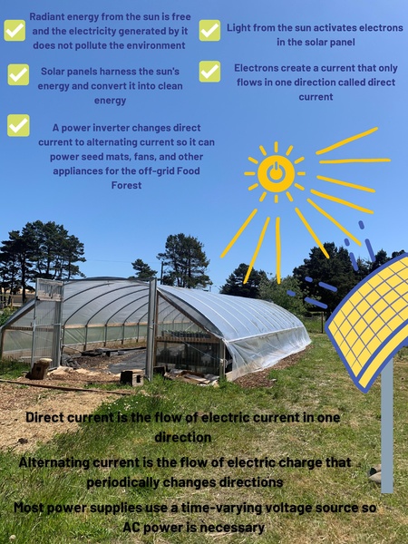 electrical current flows in one direction