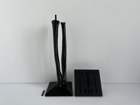 Pediatric Distal Forearm Fractures: Female Forearm Models