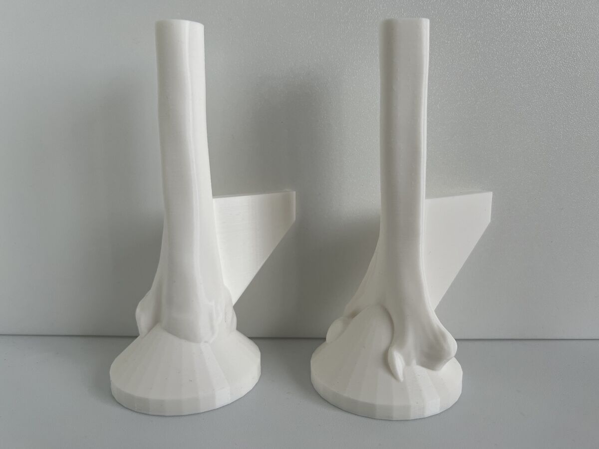 3D Printed Adult Male Humeral Bone Models/Download 3D Print Files