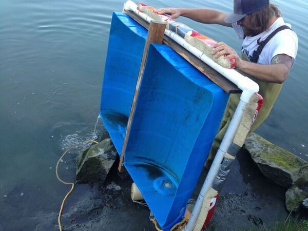 WetLand bogs - Appropedia, the sustainability wiki