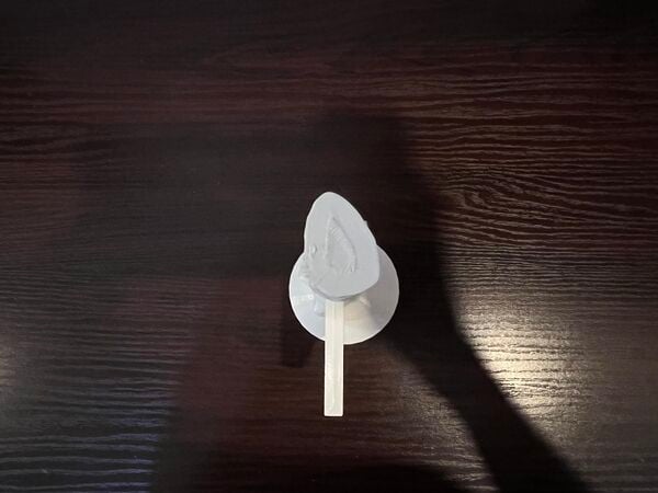 3D Printed Adult Male Humeral Bone Models/Inspect Models Delivery
