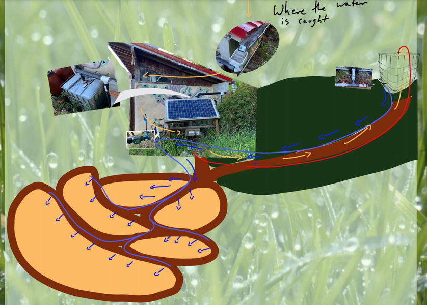 CCAT solar irrigation for food forest - Appropedia: The sustainability wiki