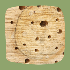 Bees Hotel - Appropedia, the sustainability wiki