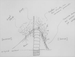 Apiary design for a forest garden