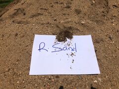 Re-birth Bricks in Action (Tolocar)