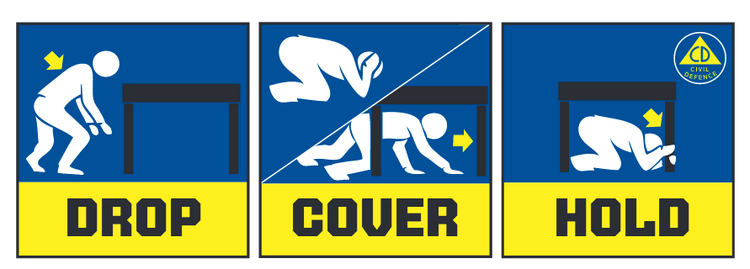How to survive an earthquake - Appropedia: The sustainability wiki